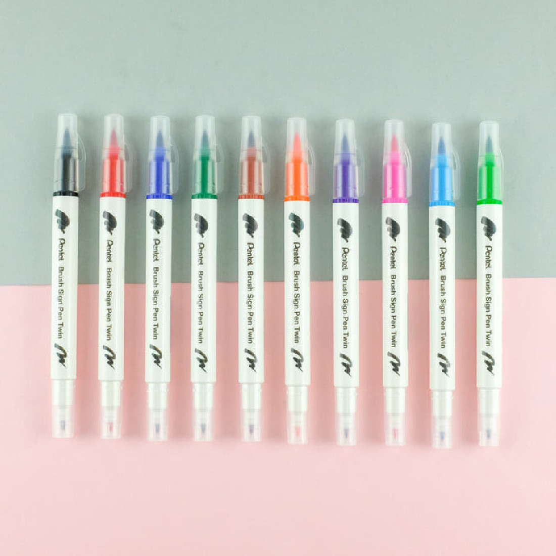 Pentel Brush Sign Pen Twin T110 Sky Blue