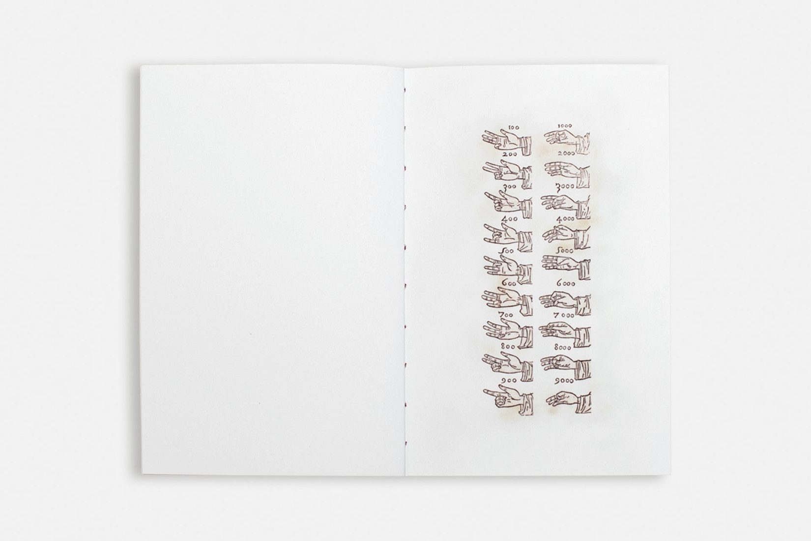 Summa de Arithmetica - Bookaneer Notebook