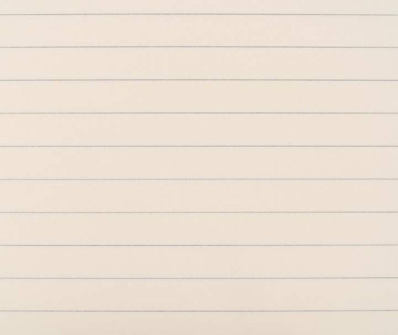 Paper Republic 2 ruled notebooks A4